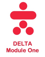 New DELTA Module One Online Course! - ACE TEFL